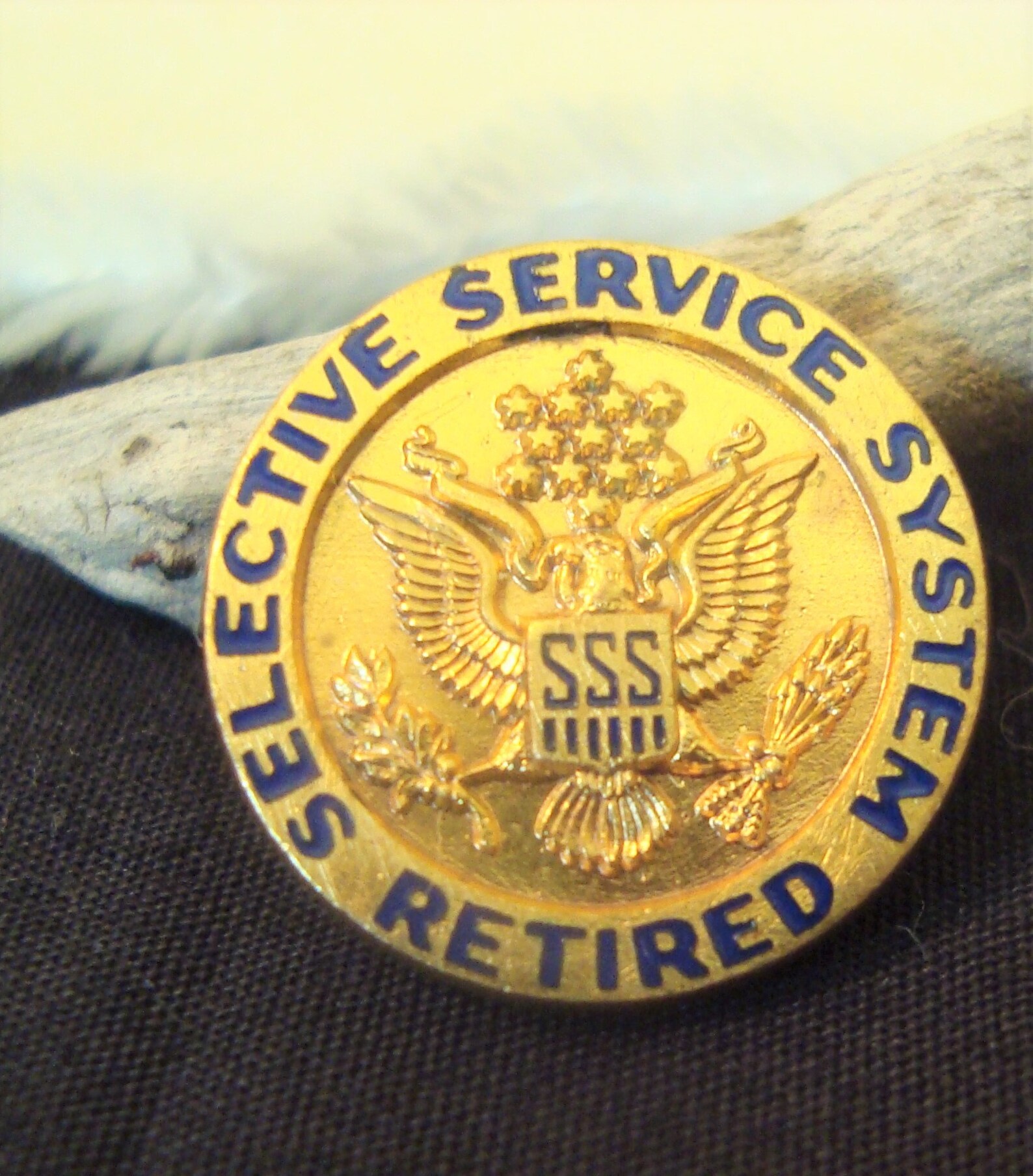 Vintage Selective Service System Retired Lapel/hat Pin Free - Etsy