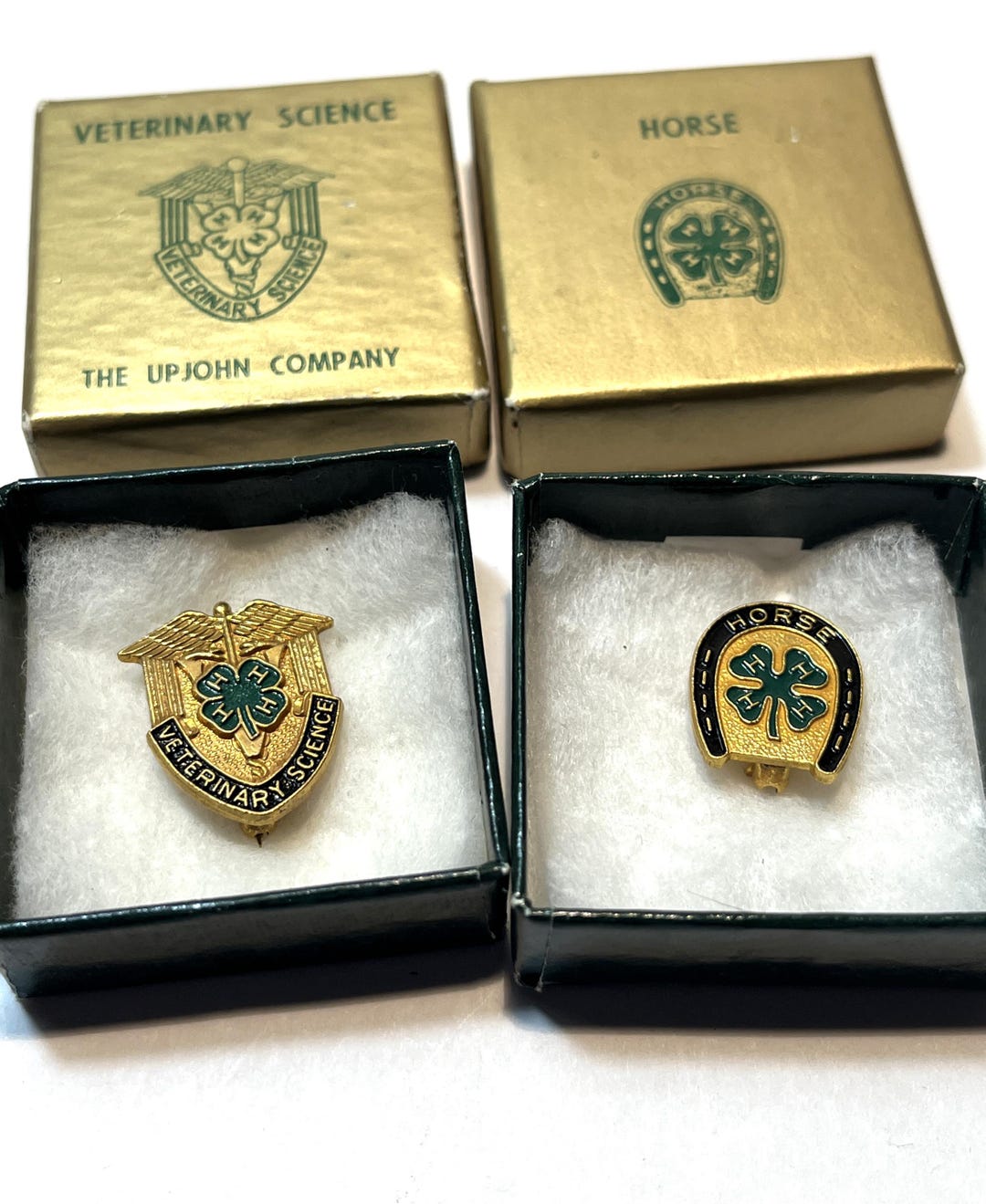 4-H Veterinary Science and Horse Pins in Original Boxes, Collectible 4H ...