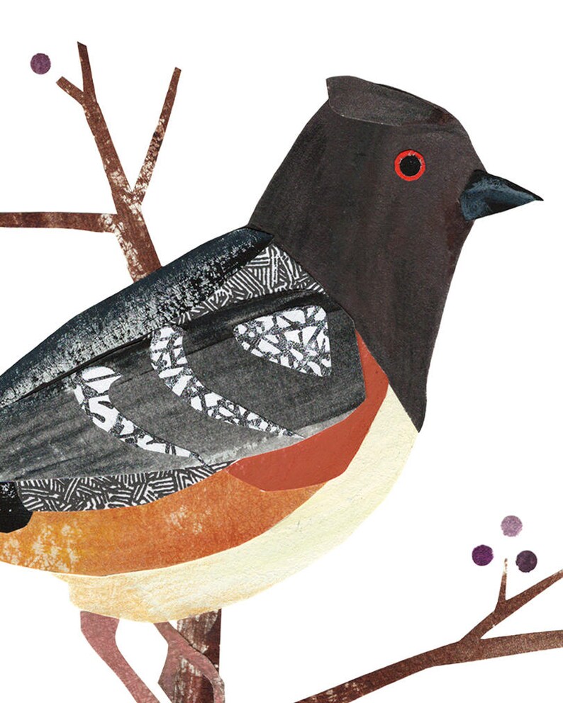 Spotted Towhee - Giclee Print of an Original Collage - Etsy
