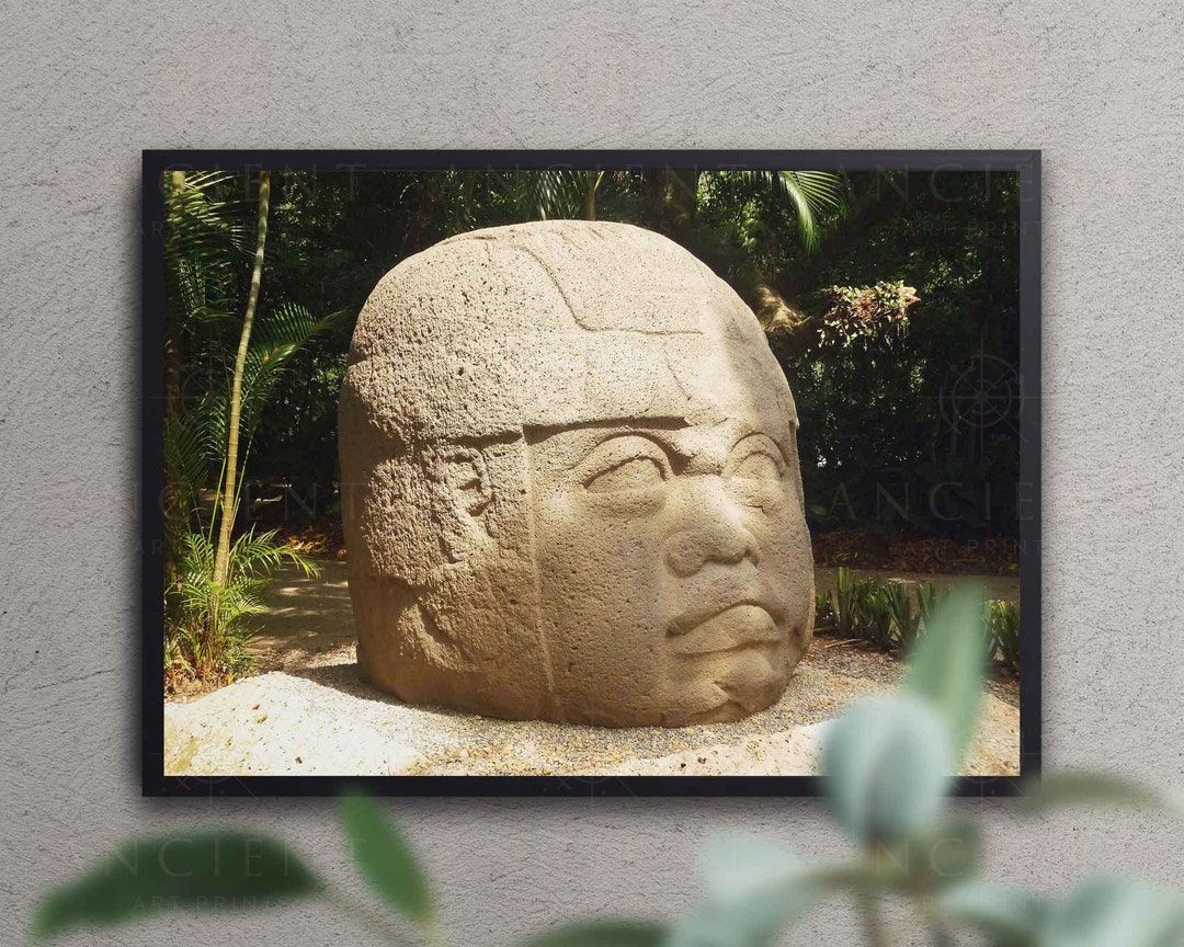 Olmec Colossal Stone Head Framed Print, Canvas, Poster | Mexico | Aztec ...