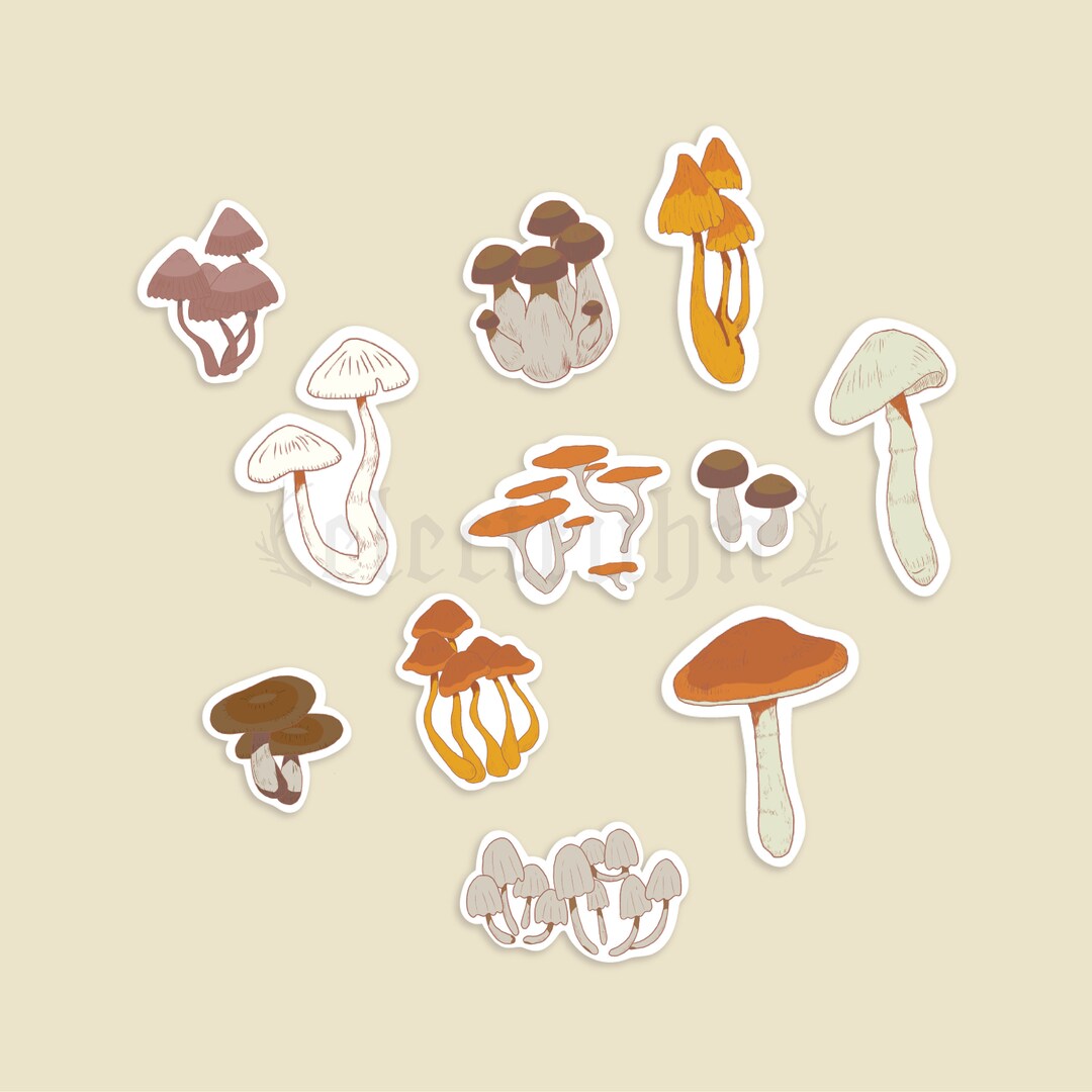 Aesthetic Autumn Mushrooms Sticker Pack / Fall Mushroom Decals / Cute ...