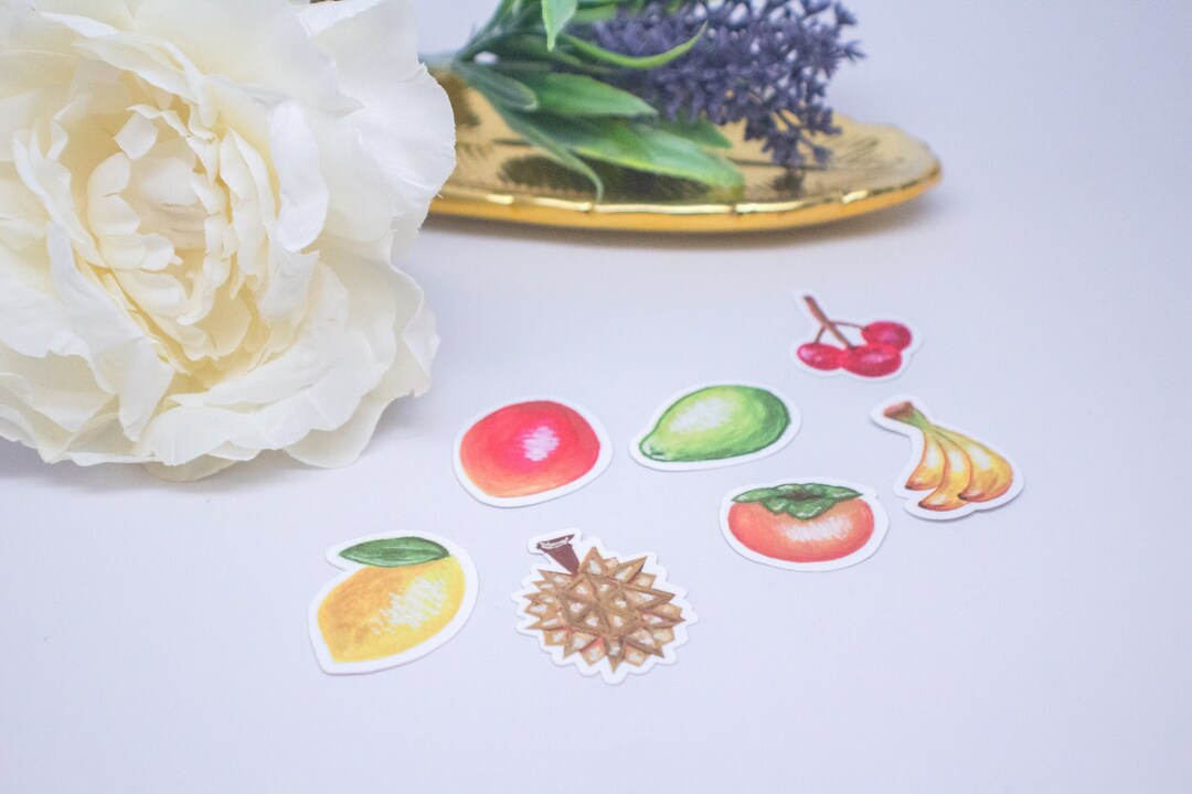 Tropical Fruit Stickers / Watercolor Lemon Mango Durian - Etsy