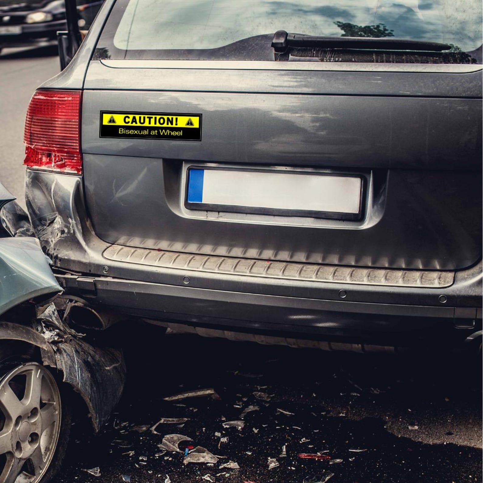 Caution Bisexual at Wheel Bumper Sticker - Etsy