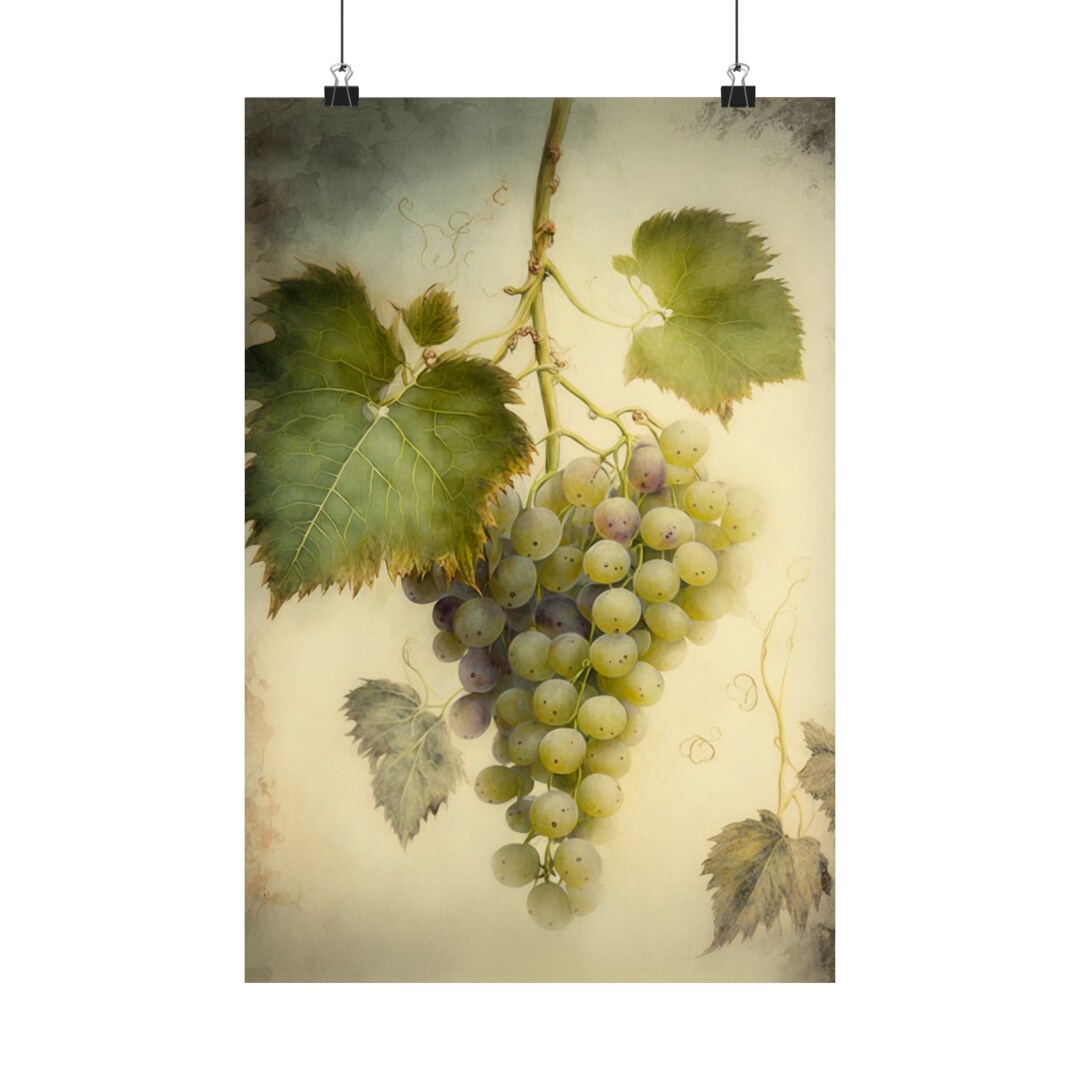 Green Grapes Poster for Kitchen Minimalist Modern Poster Wall Art Gift ...