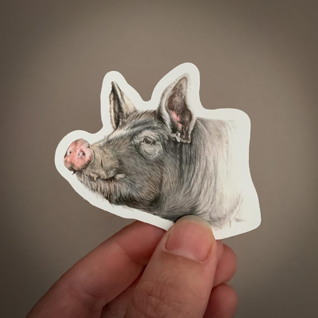 Berkshire, Pig – Vinyl Farm Animal Sticker - Etsy