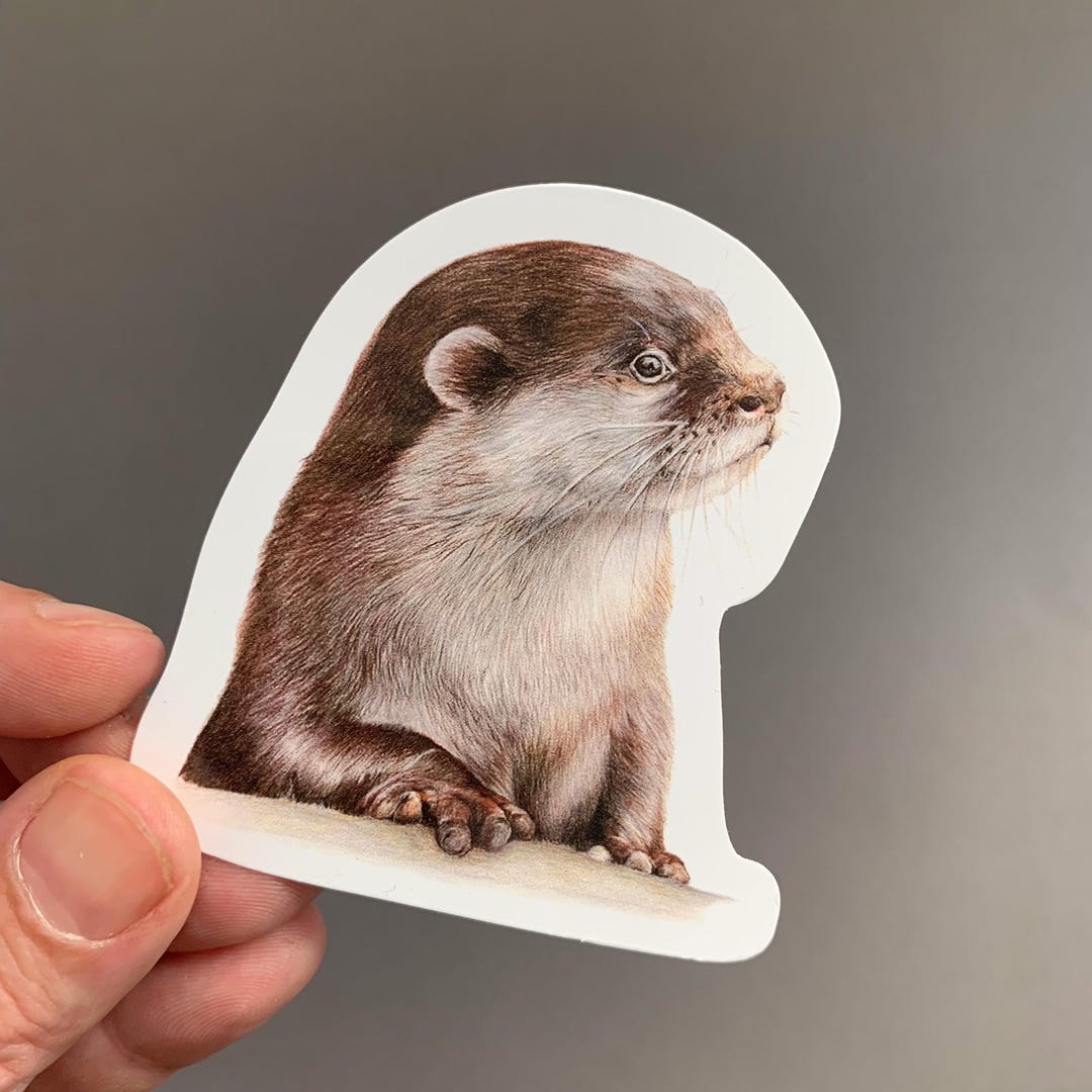 Otter Sticker: Glossy Vinyl Animal Decal - Etsy