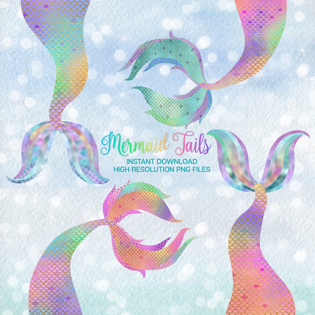 Rainbow Mermaid Tail Clip Art Mermaid Scales Mermaid - Etsy