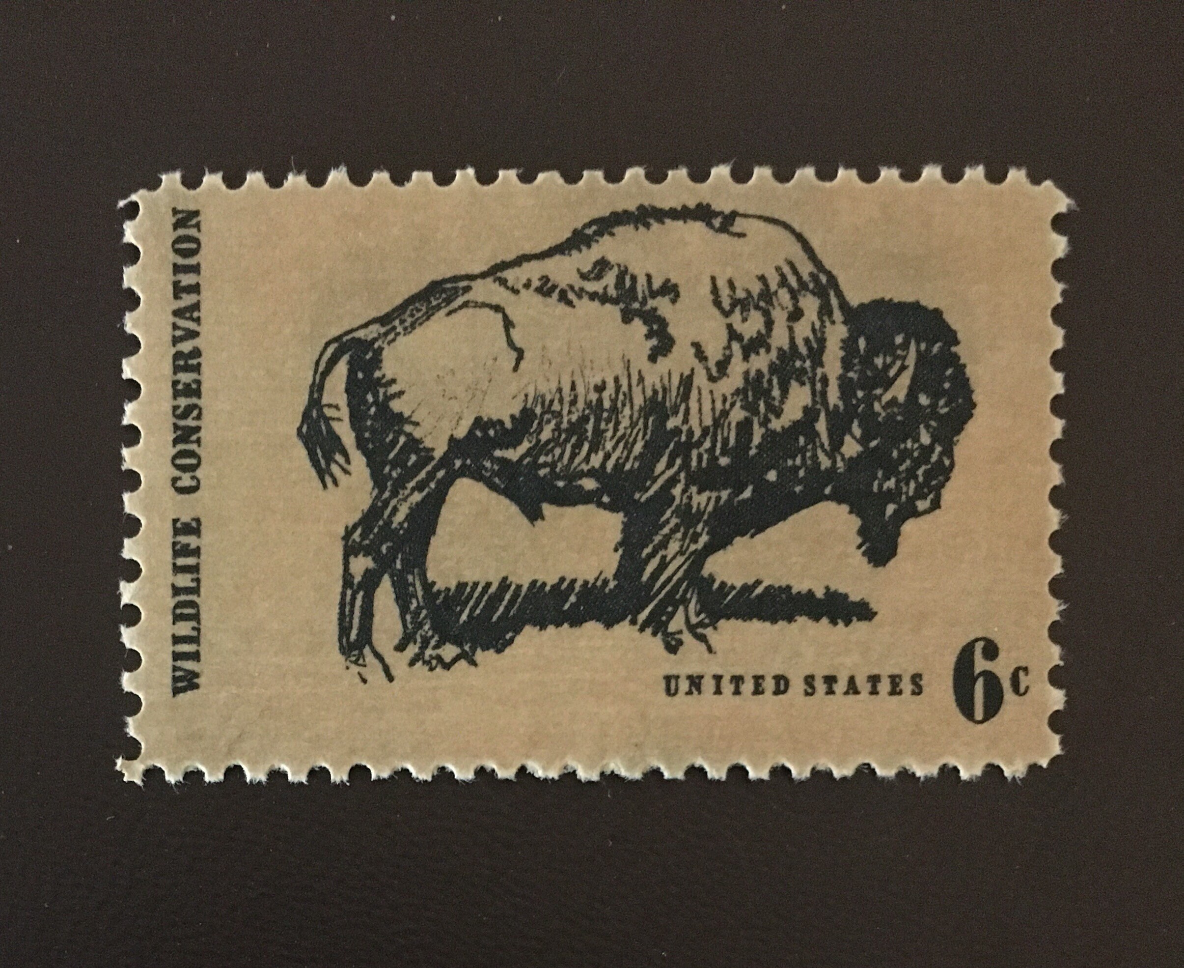 Buffalo on Postage Stamp -1970 Issue - Mint US - Etsy