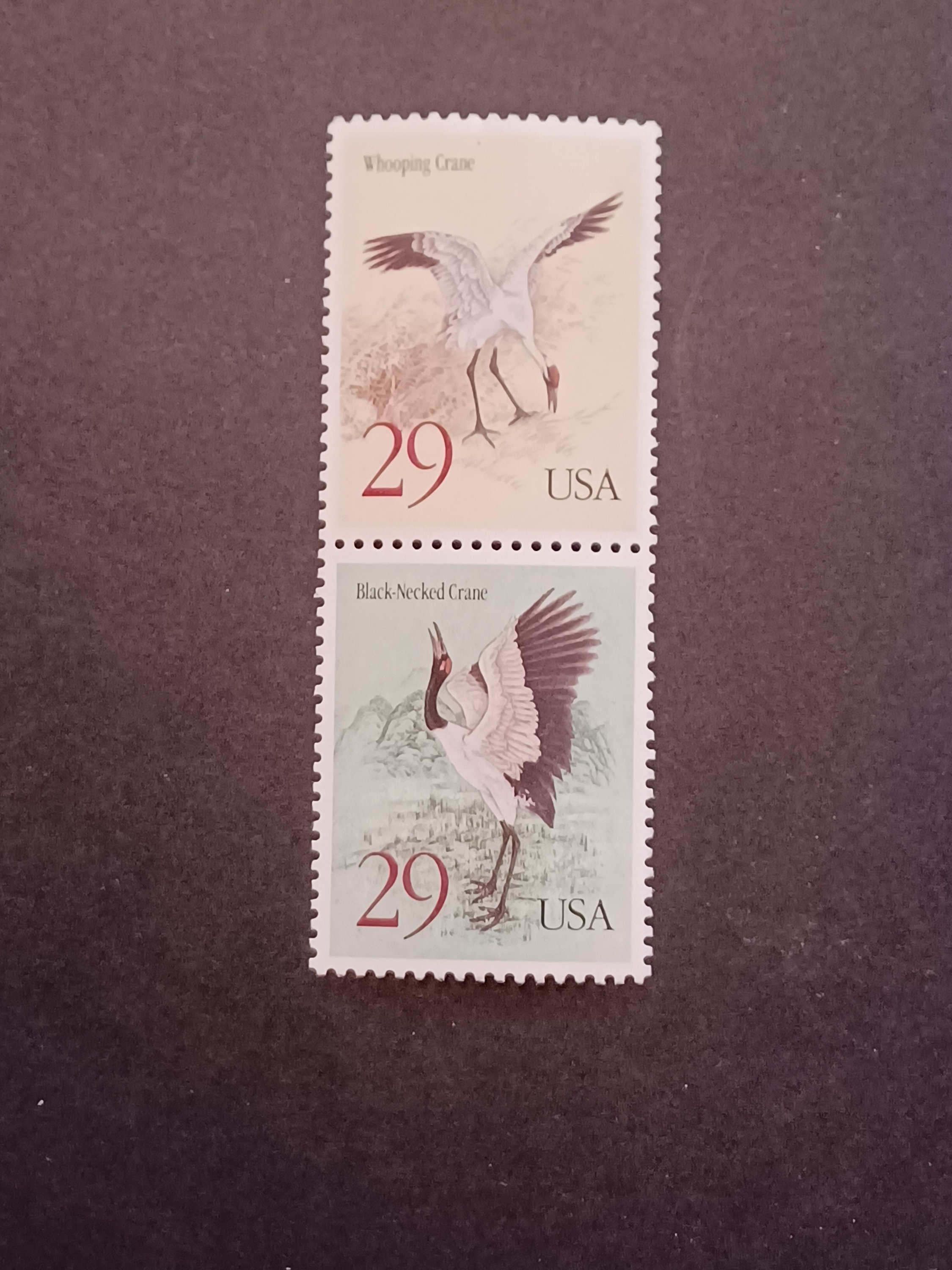 Whooping Crane and Black Necked Crane on US Postage Stamp Pair of Mint ...