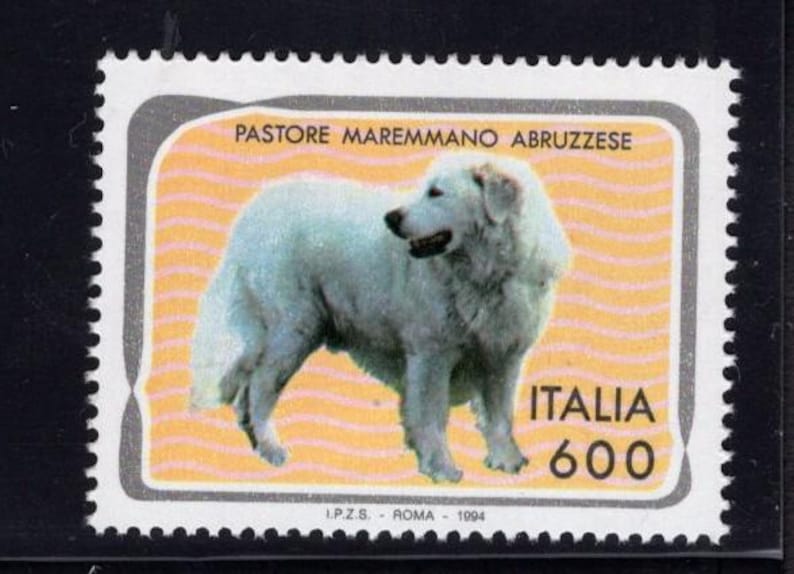 Maremmano-abruzzese Sheepdog - Sheep and Penguin Guard Dog- Star of ...
