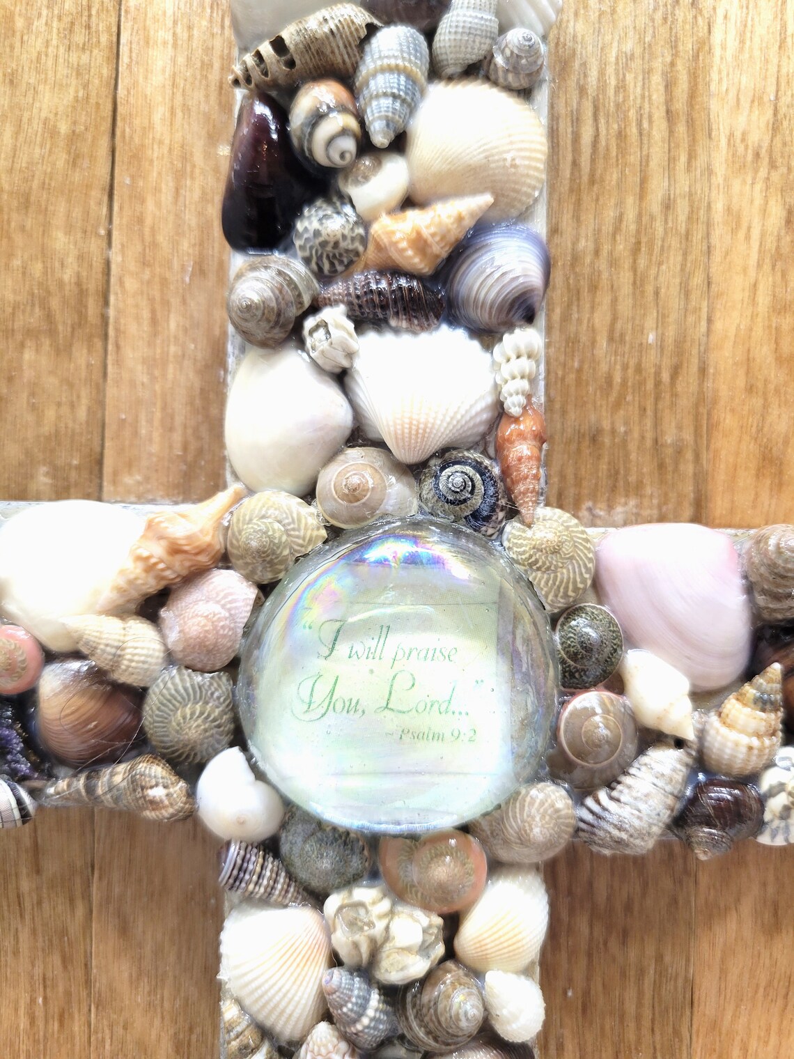 Large Natural Sea Shell Cross on Stained and Sealed Wood - Etsy