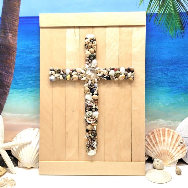 Natural Seashells - Etsy