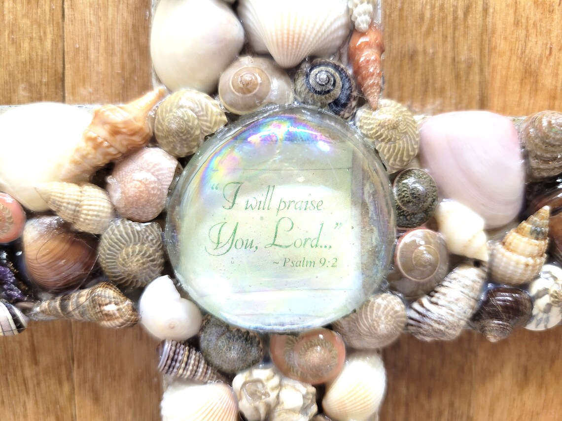 Large Natural Sea Shell Cross on Stained and Sealed Wood - Etsy