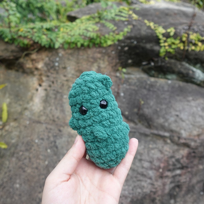 Squishy Pickle - Etsy