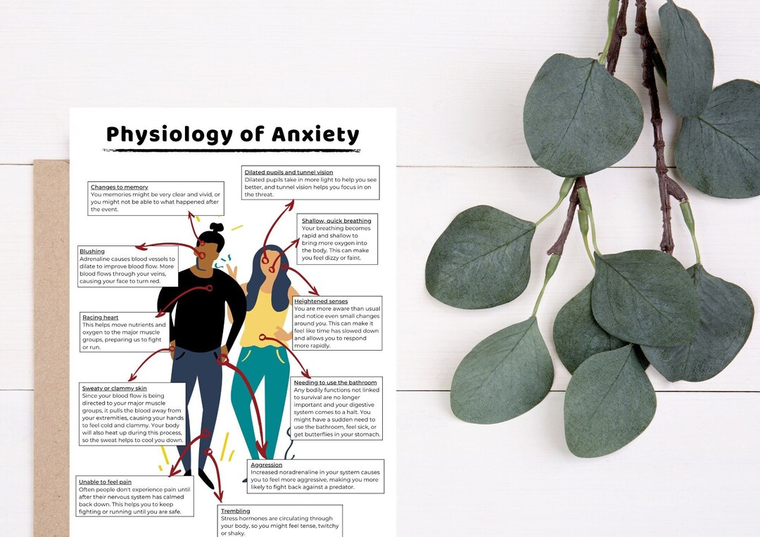 Physiology of Anxiety - DIGITAL DOWNLOAD - Etsy