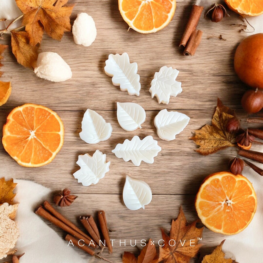 Spiced Pomander Scented Wax Melts Set of 9 Orange and Clove Fragrance ...