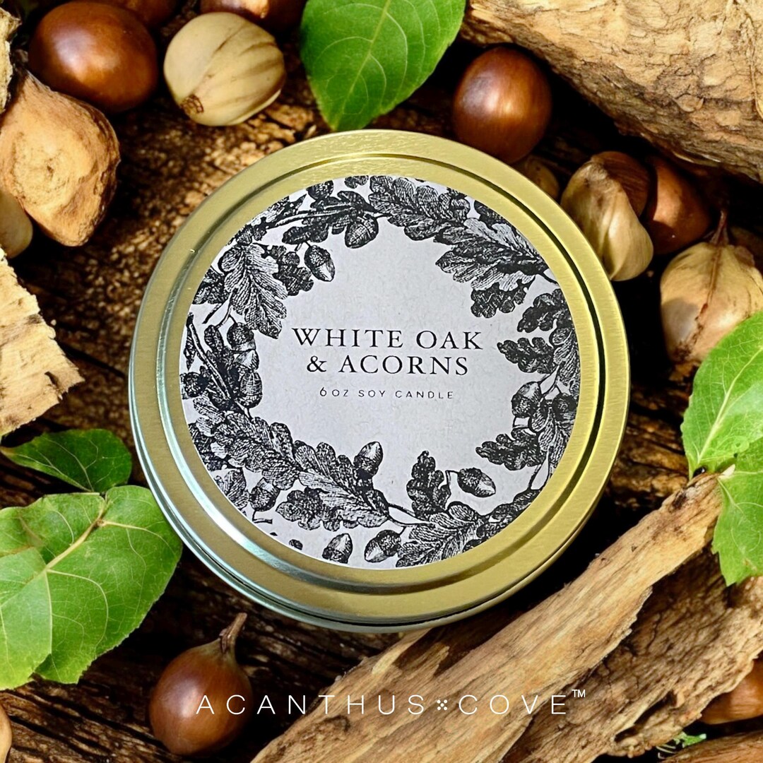 White Oak & Acorns Scented Soy Candle | Oak, Vanilla, Wood, Patchouli ...
