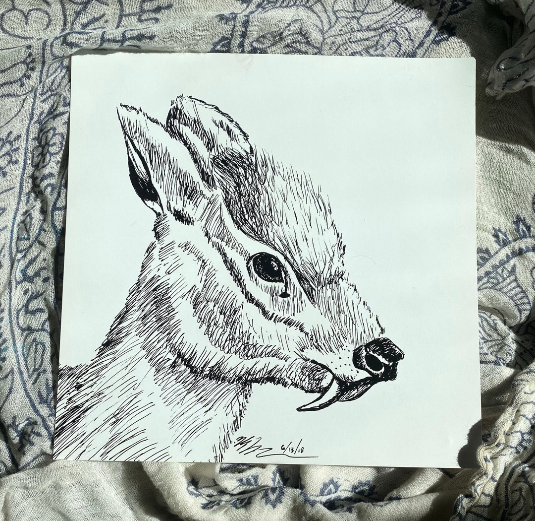 Tufted Deer Pen & Ink Drawing - Etsy