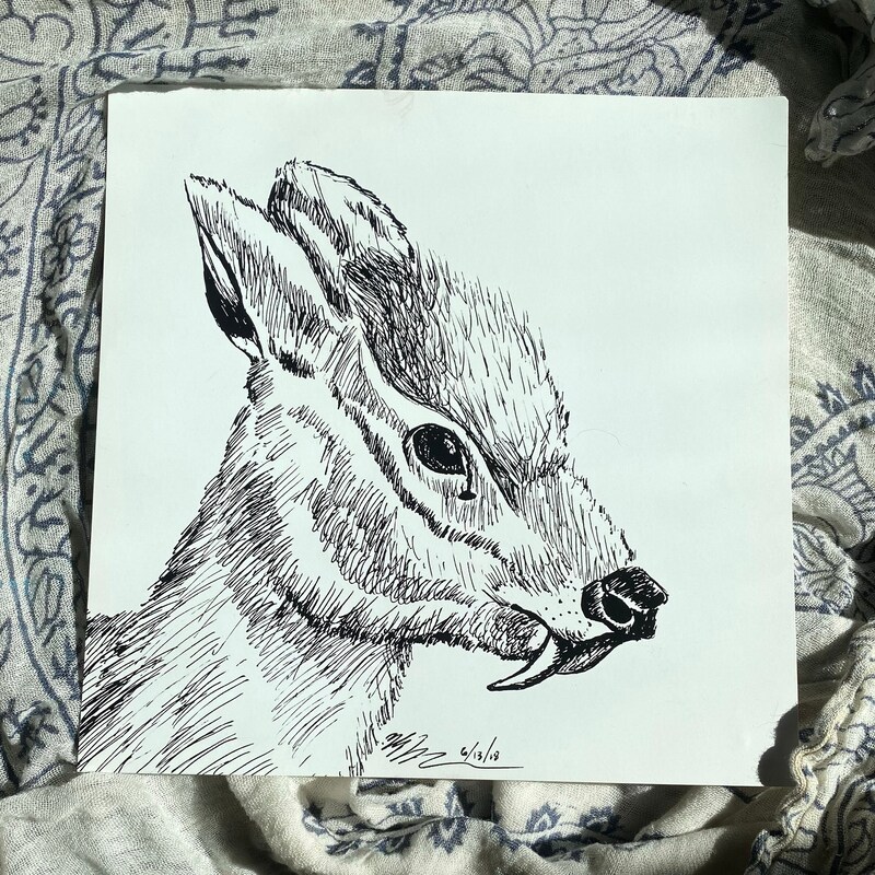 Pen and Ink Deer Art - Etsy