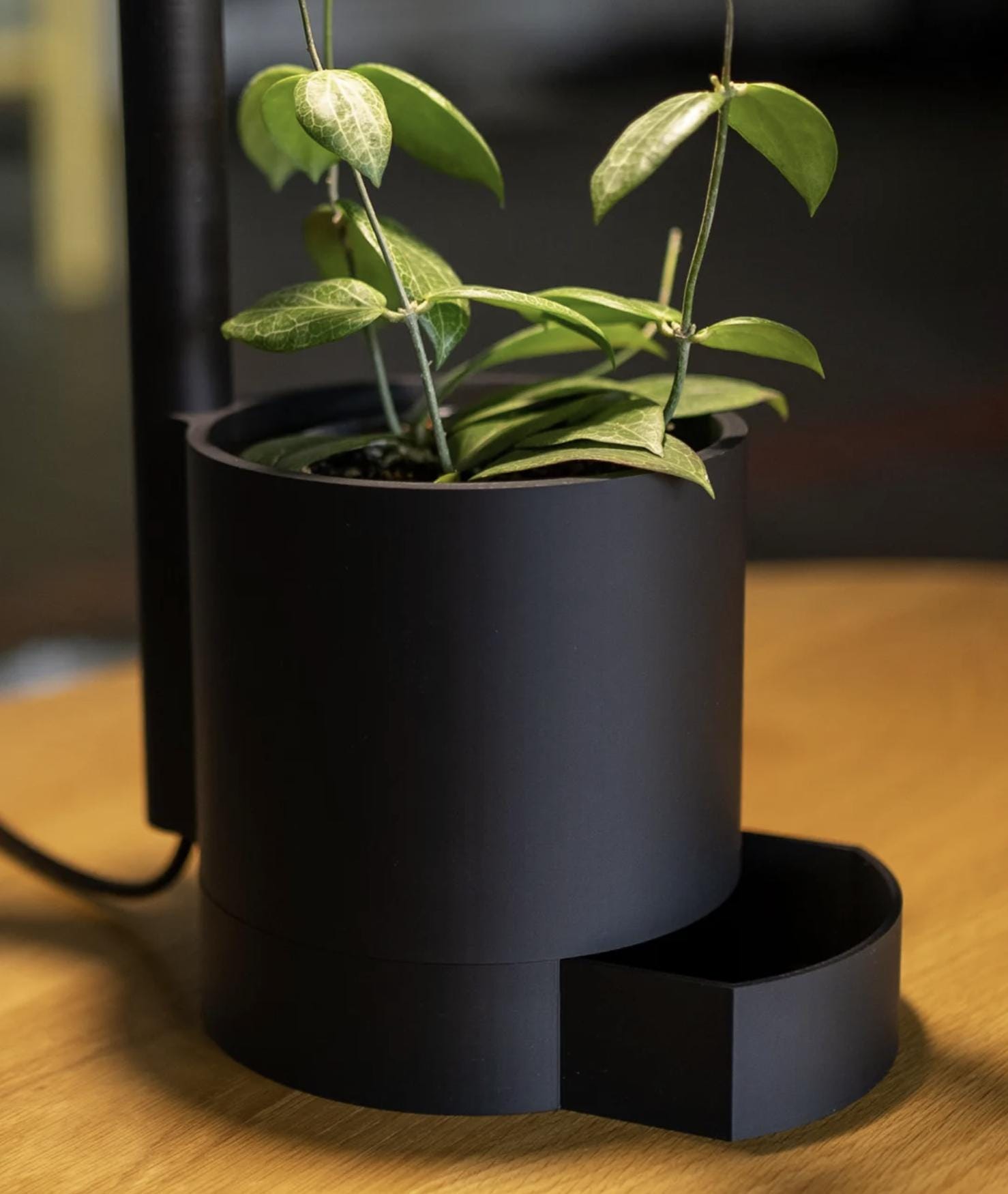 Grow Light Planter | Indoor Plant Growing | LED Light | Hight ...