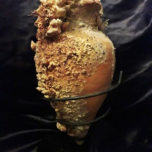 Underwater Artifact Clay Pottery, Antique Sunken Aged Amphora Vase ...