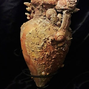 Underwater Artifact Clay Pottery, Antique Sunken Aged Amphora Vase ...