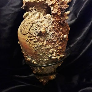 Underwater Artifact Clay Pottery, Antique Sunken Aged Amphora Vase ...