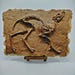 Leptomeryx, Ruminant Deer Fossil, Oligocene Age, North America, Fresco ...