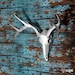 Deer Skull Papercraft Trophy, Printable 3D Sculpture, Papercraft Pdf ...