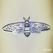 Moth Papercraft Sculpture, Printable 3D Puzzle, Papercraft Pdf Template ...
