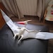 Pterosaur Dinosaur Papercraft Sculpture, Printable 3D Puzzle ...
