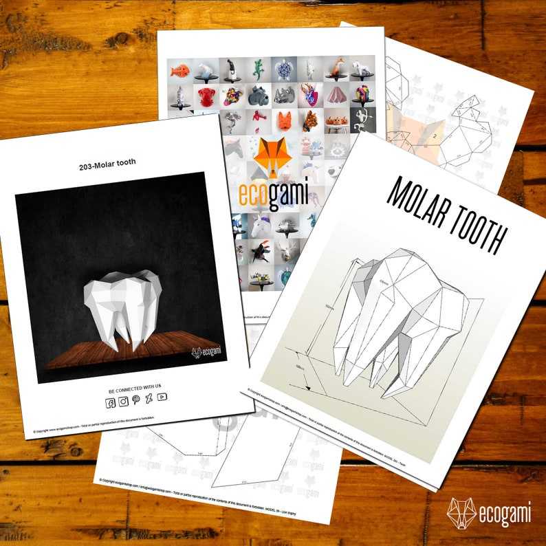 Molar Tooth Papercraft PDF, DIY 3D Paper Sculpture, Low Poly Printable ...