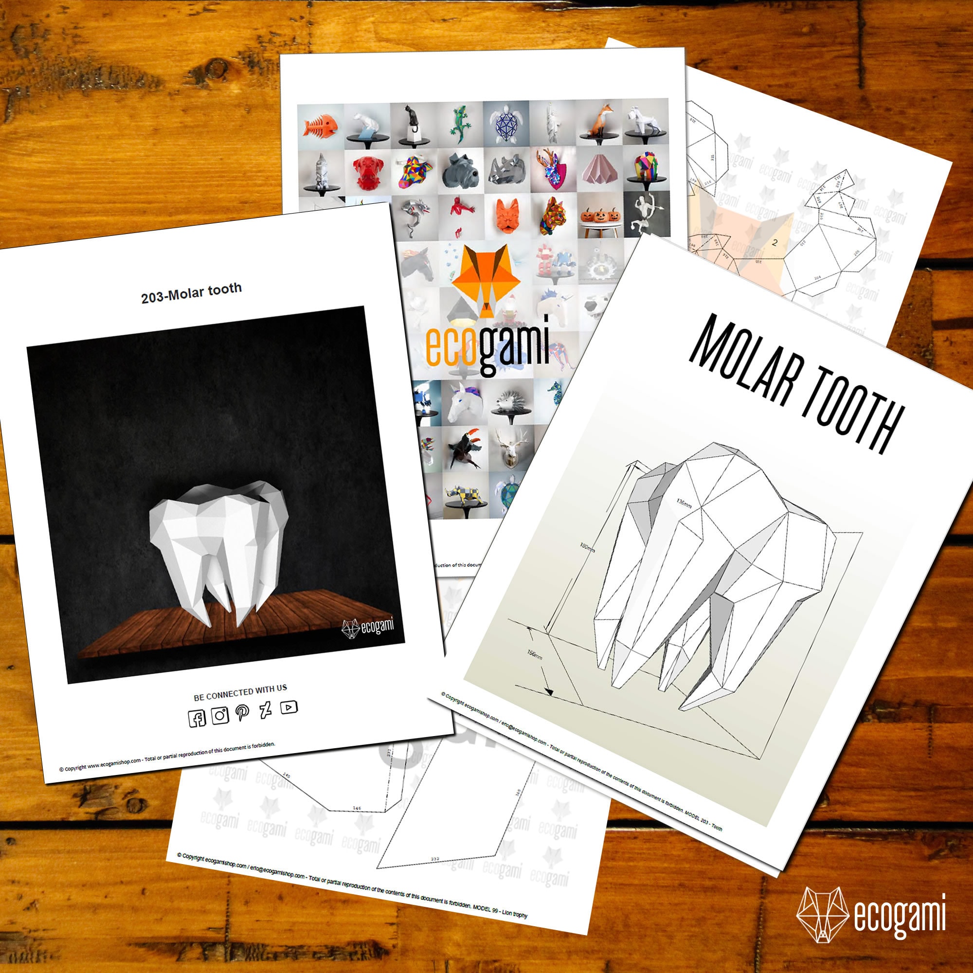 Molar Tooth Papercraft PDF, DIY 3D Paper Sculpture, Low Poly Printable ...