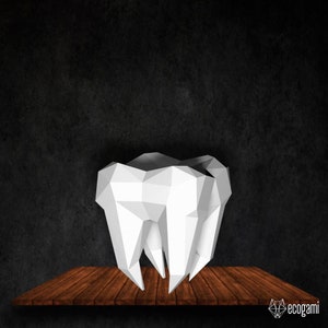Molar Tooth Papercraft Sculpture, Printable 3D Puzzle, Papercraft Pdf ...