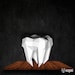 Molar Tooth Papercraft Sculpture, Printable 3D Puzzle, Papercraft Pdf ...