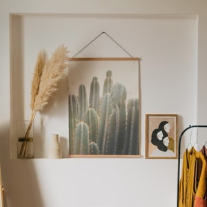 Faded Stick Cactus - Etsy