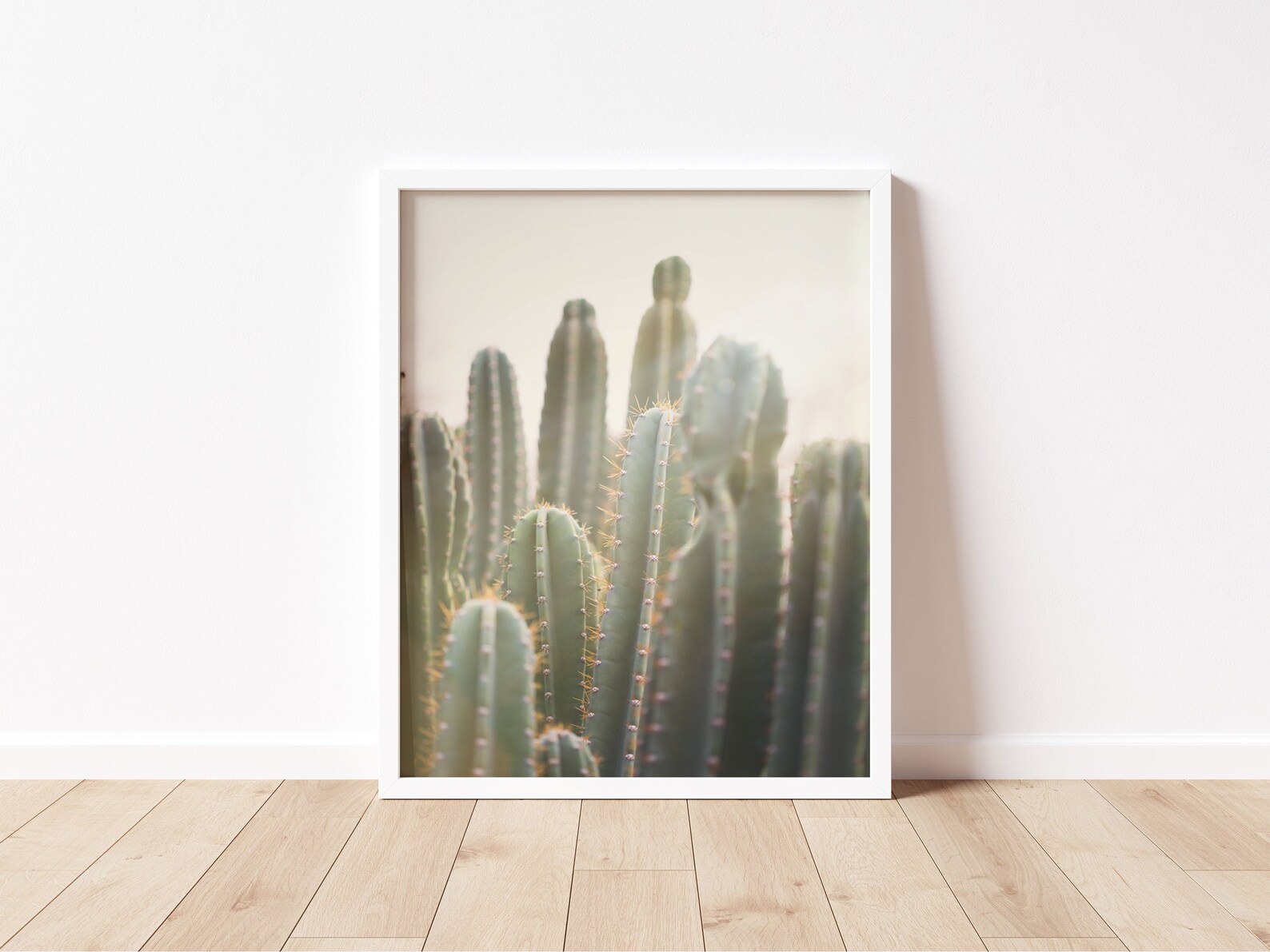Faded Stick Cactus - Etsy