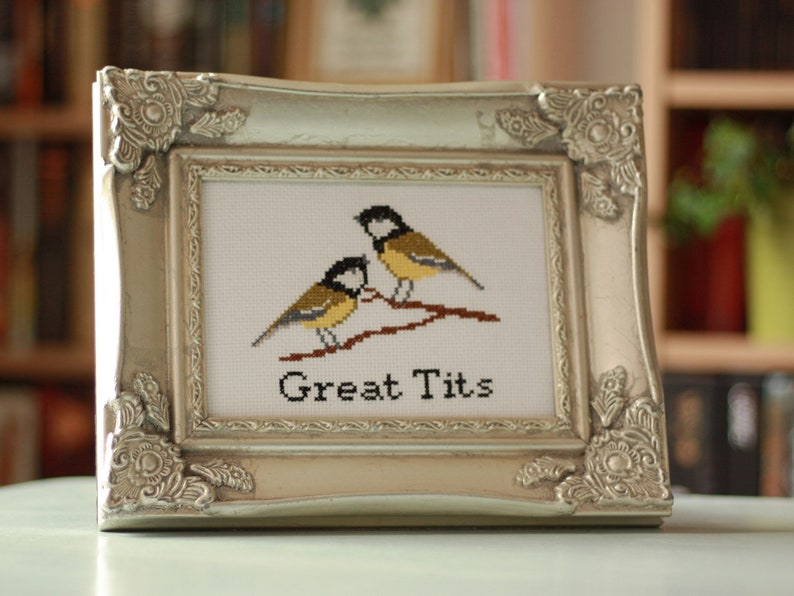 Adult Cross Stitch Kit for Beginner Craft Kit for Adults | Etsy