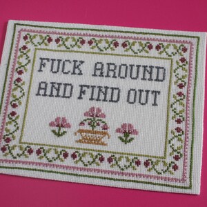 Offensive Cross Stitch Pattern PDF, Fuck Around and Find Out - Etsy