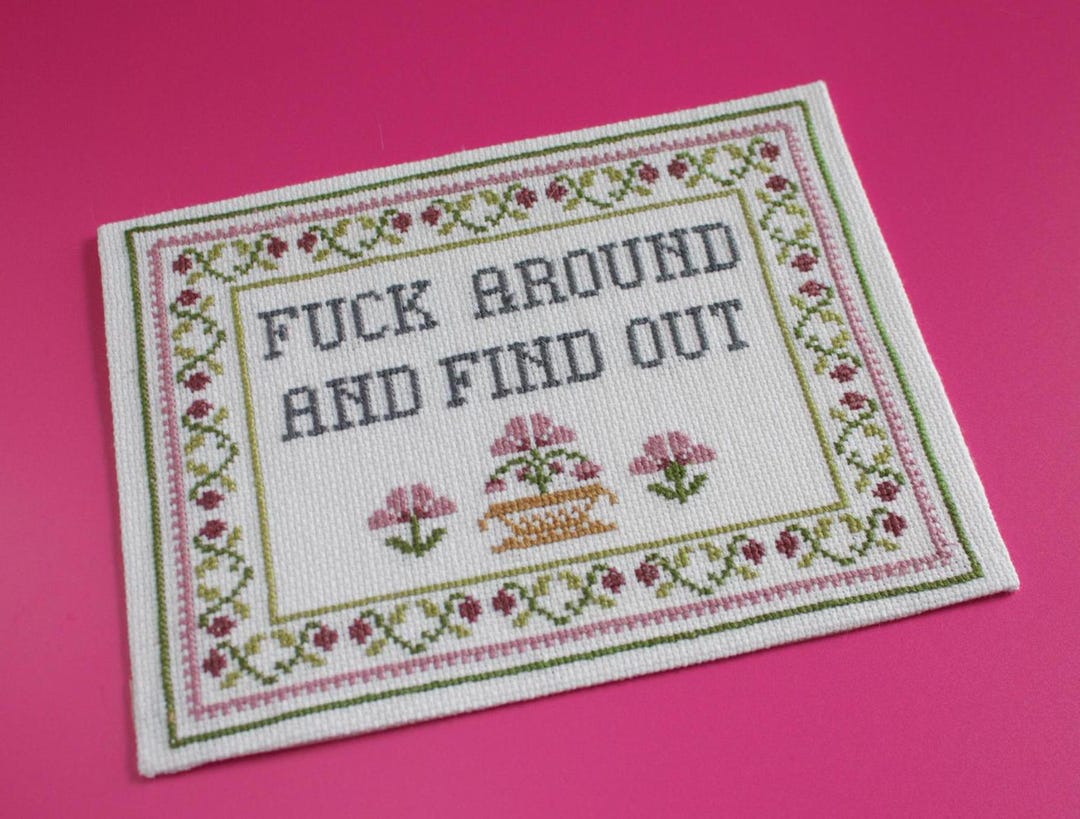 Offensive Cross Stitch Pattern PDF, Fuck Around and Find Out - Etsy