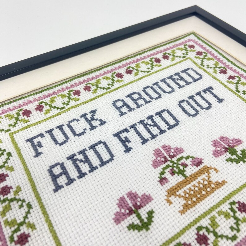 Offensive Cross Stitch Pattern PDF Fuck Around and Find Out - Etsy