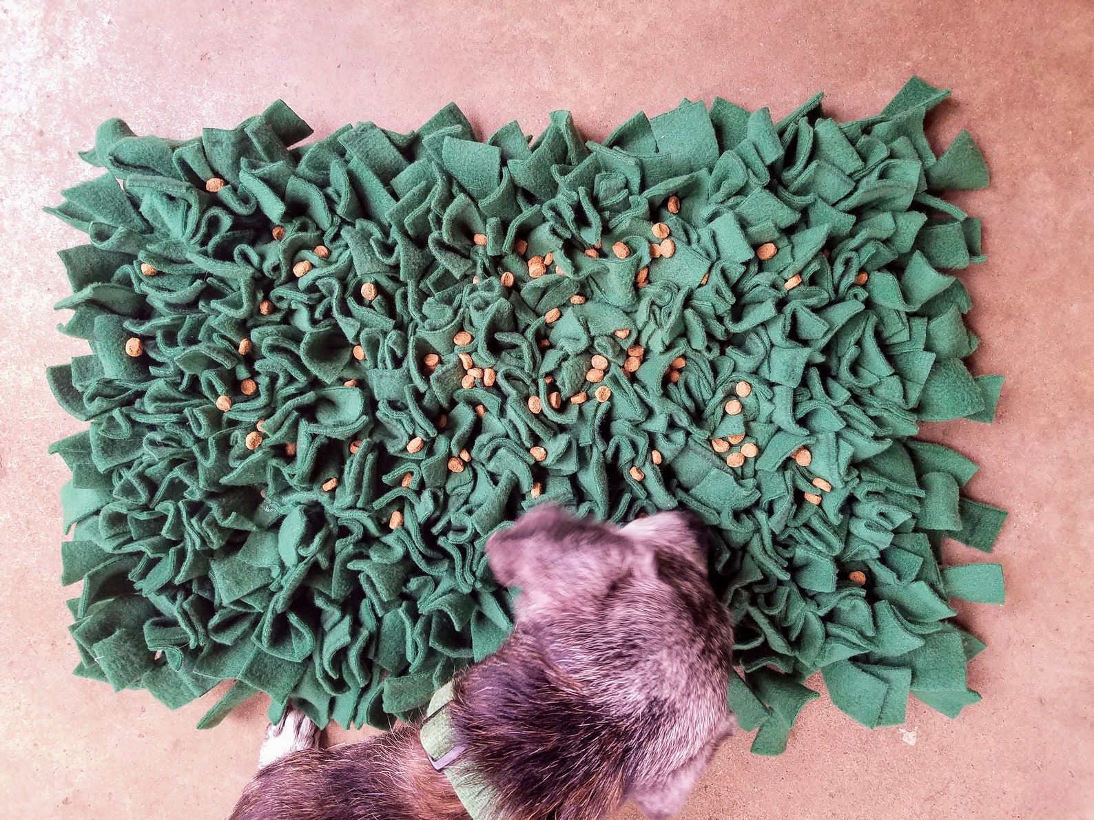 Custom Colors LARGE 16x13 Snuffle Mat Rooting Rug Canine Dog | Etsy