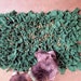 Small 9x12 Snuffle Mat Rooting Rug Canine Pet Dog Pig Rabbit - Etsy