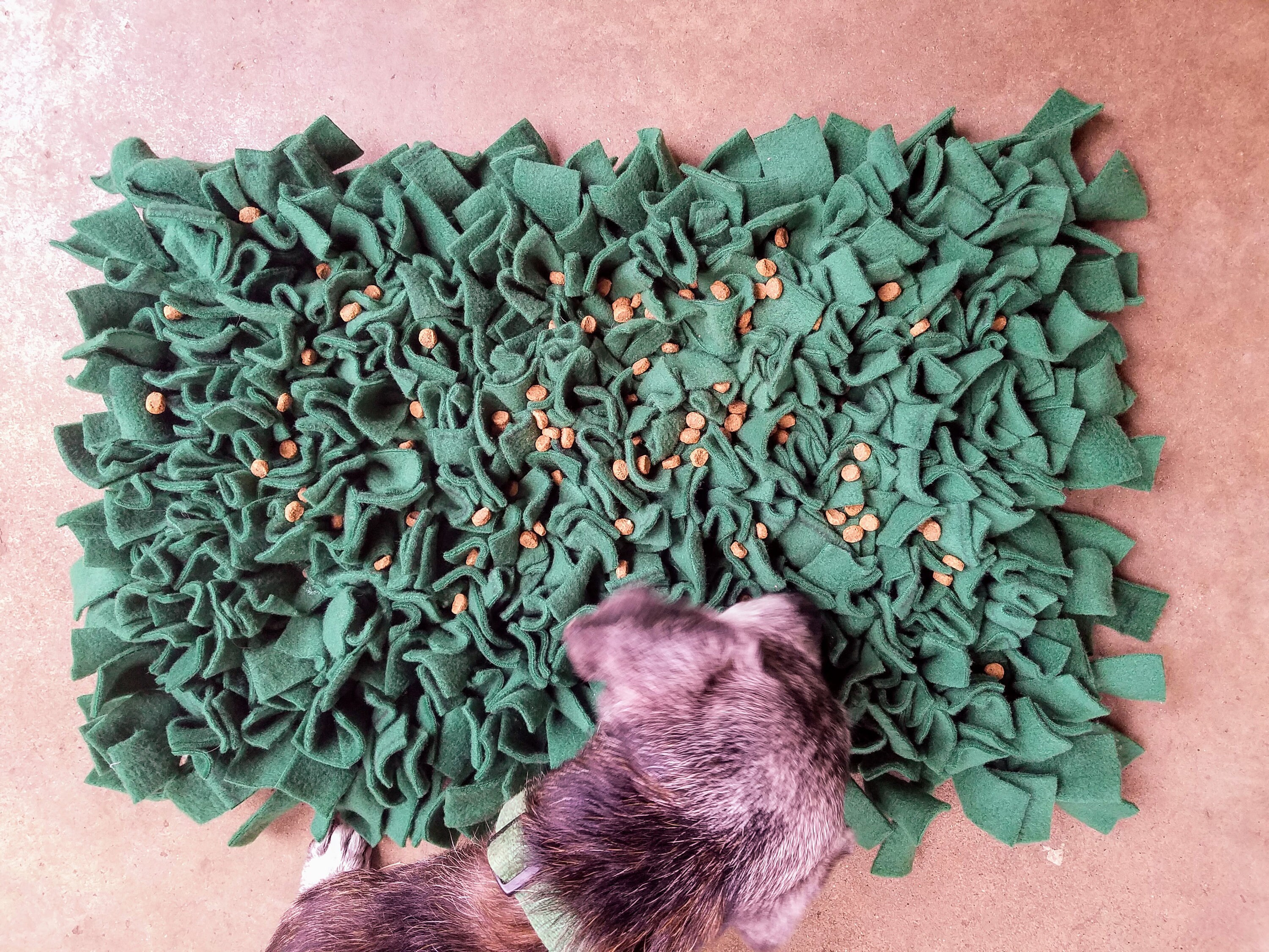 Small 9x12 Snuffle Mat Rooting Rug Canine Pet Dog Pig Rabbit - Etsy