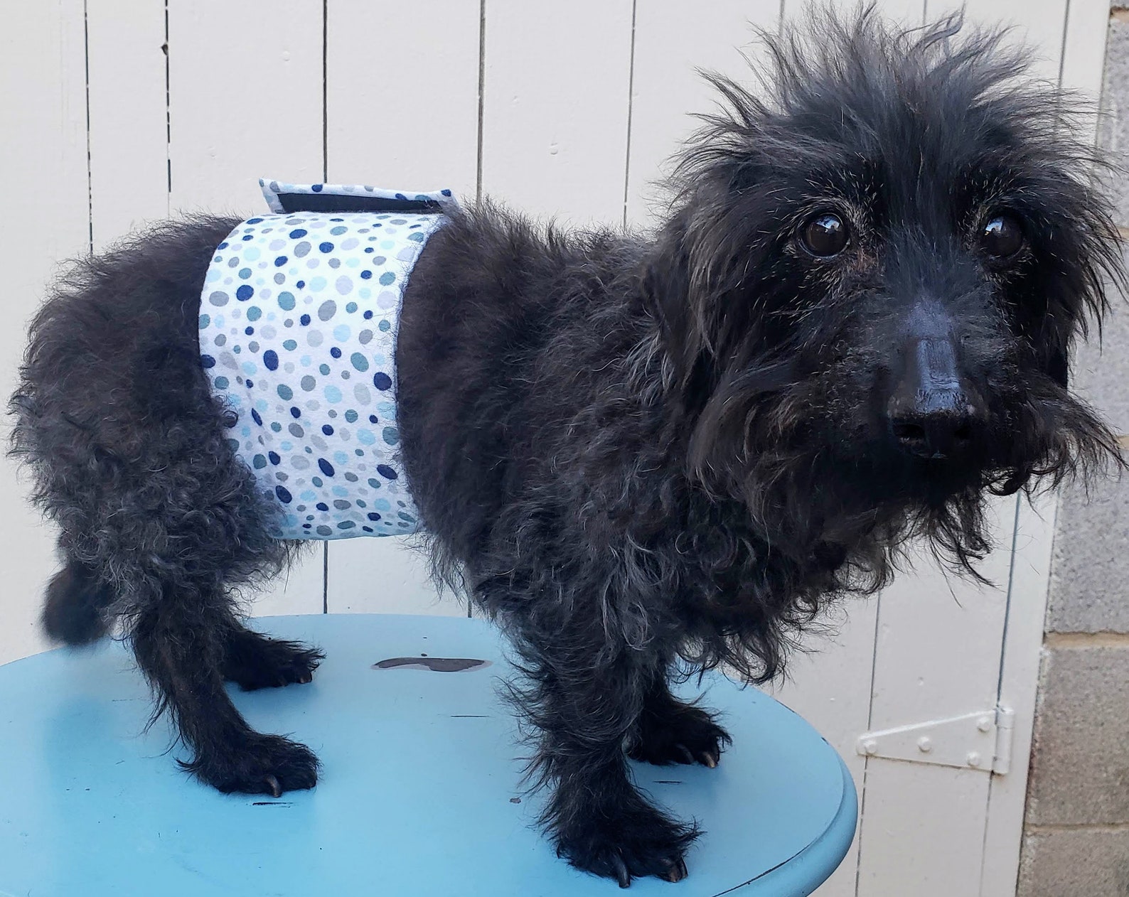 Male Dog Belly Band Custom Made Pee Diaper Wee Wrap Training | Etsy