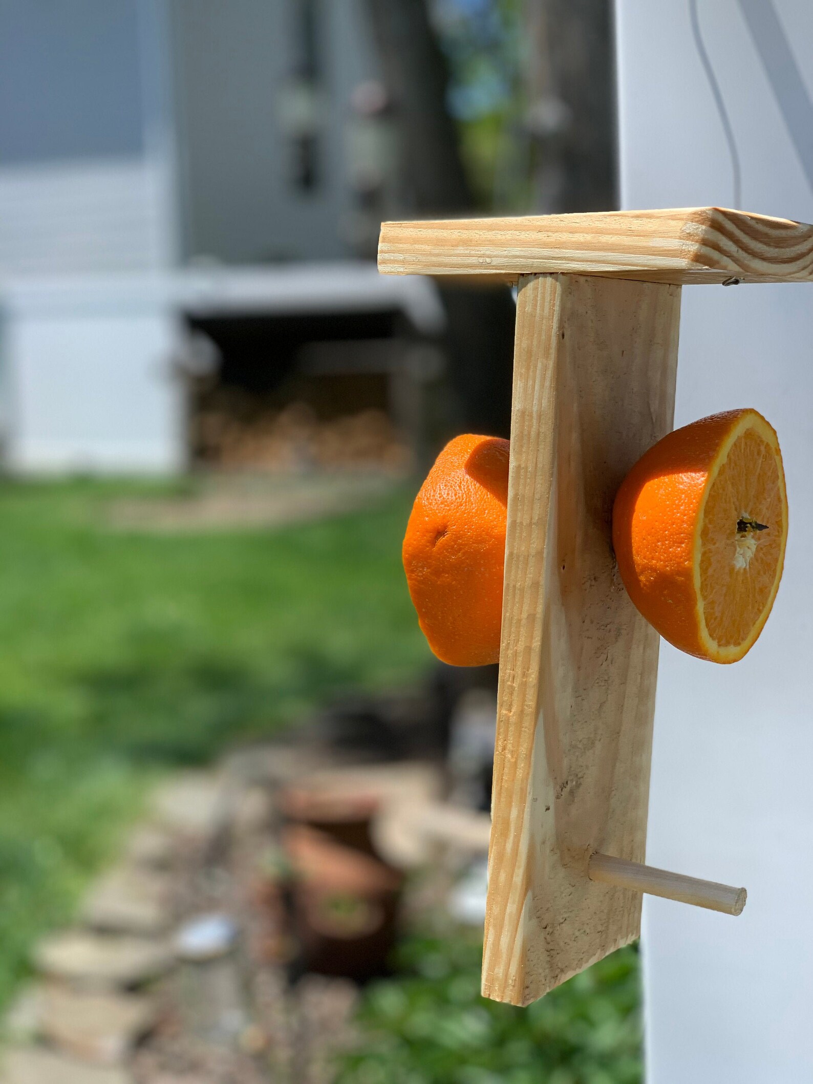 Fresh Fruit Feeder - Etsy