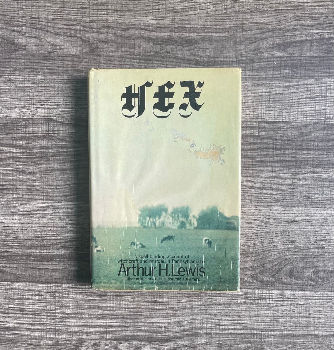 Genuine Himmelsbrief or Letter of Protection (1972) PDF - Etsy