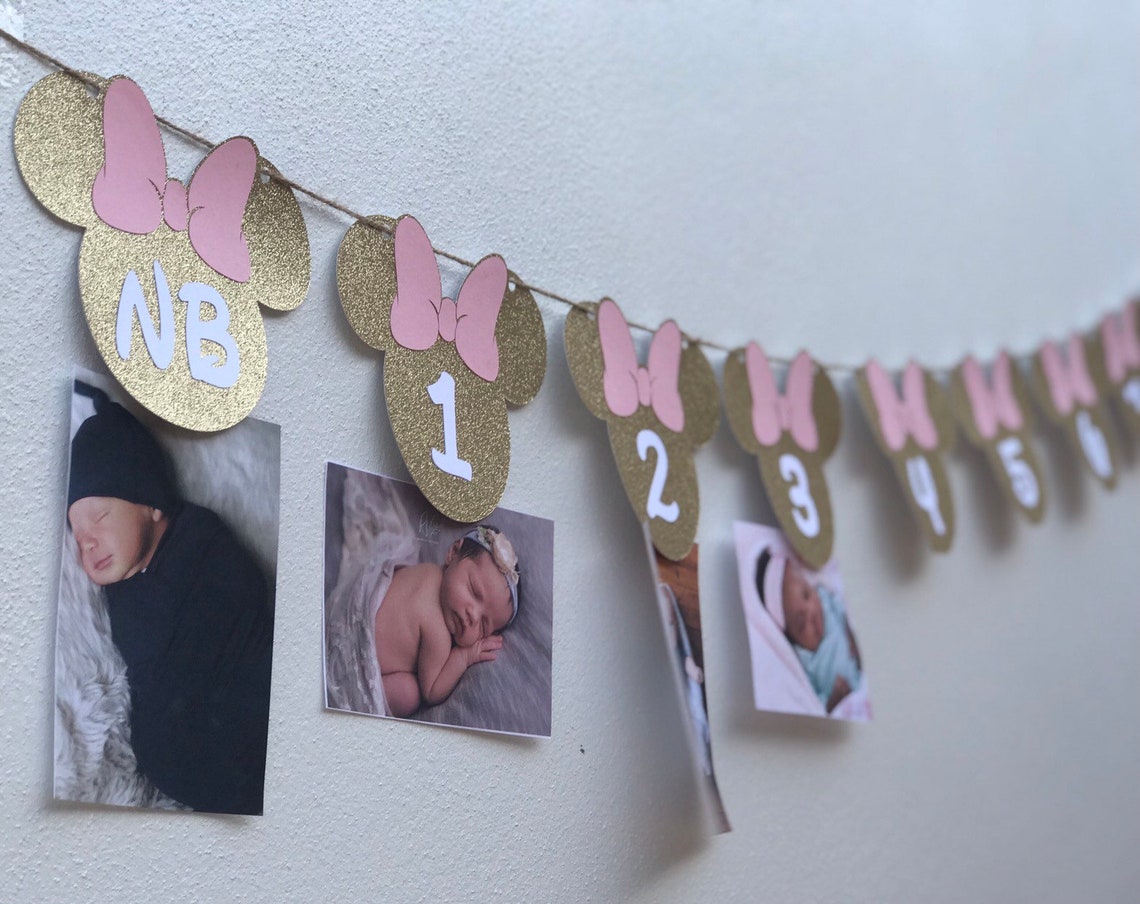 Minnie Photo Hanging Banner - Etsy