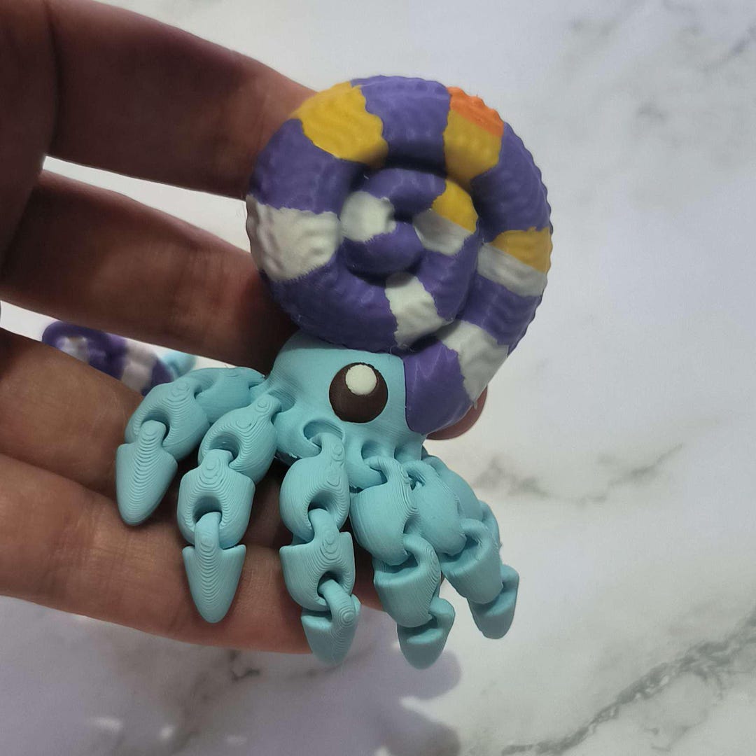 Flexi Toy Ammonite STL and 3MF File - Etsy