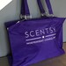 Authorized Scentsy Vendor Scentsy Embroidered Oversized Metro Tote ...